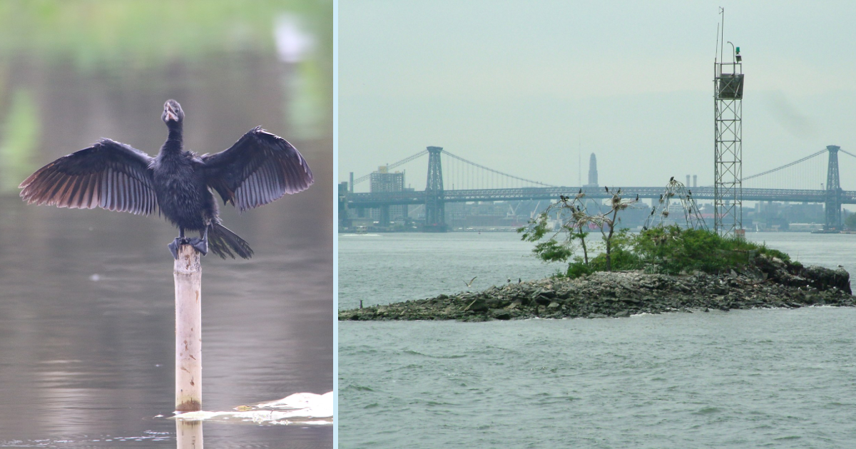 Here’s Why It’s Illegal To Visit New York’s U-Thant Island » TwistedSifter