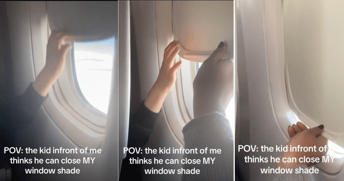 Air Traveler Gets Into A Hilarious Battle Of Wills Over The Window ...