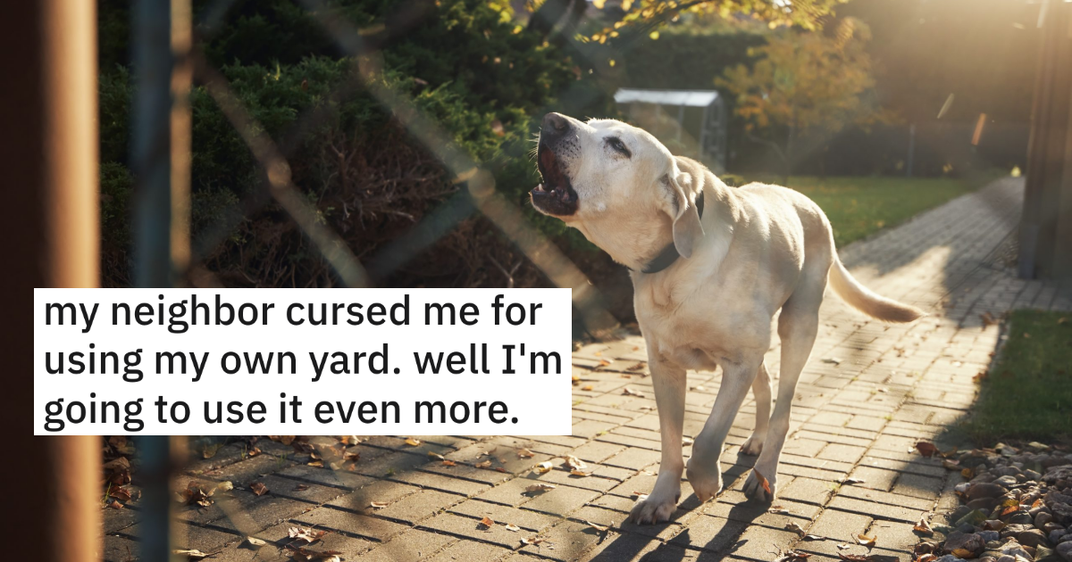 Neighbor’s Dogs Go Crazy When She Lets Her Pups Into Her Own Backyard ...