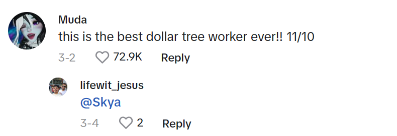 This Random Woman Worked A Full Day Shift At A Dollar Tree For Free ...
