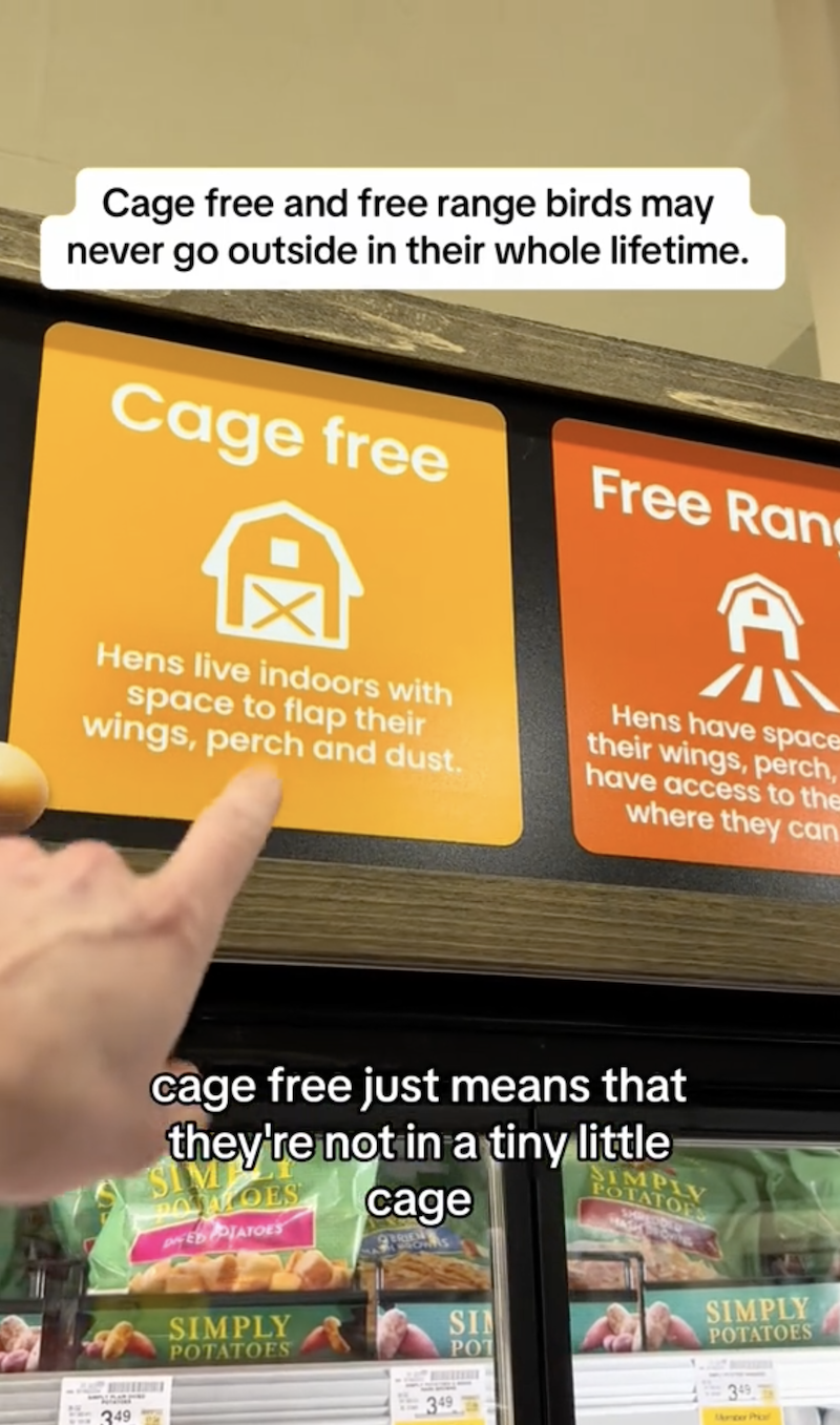 ‘They changed the look of the package to say cage-free.’ – Consumers ...