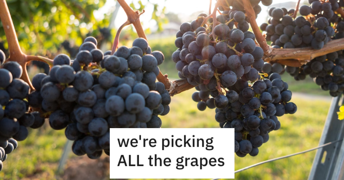 Nasty Neighbor Threatened To Pick All The Grapes In Their Vineyard, So ...