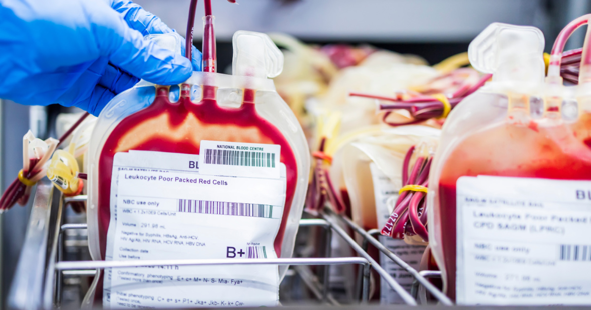 Universal Donor Blood Could Be Within Reach Thanks To A Bacteria Found ...