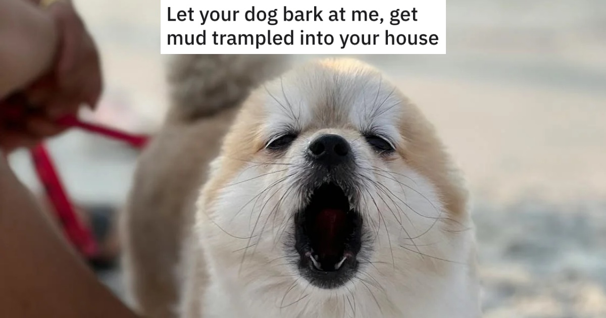 Woman Is Tired Of Her Neighbor’s Dog Barking, But They Refuse To Do ...