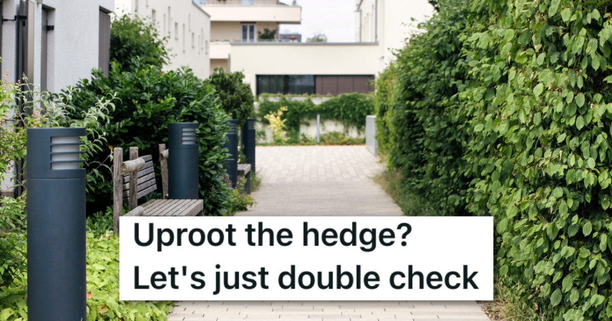 Her Neighbor Wanted A Hedge On “Her” Property Cut Down. It Turned Out ...