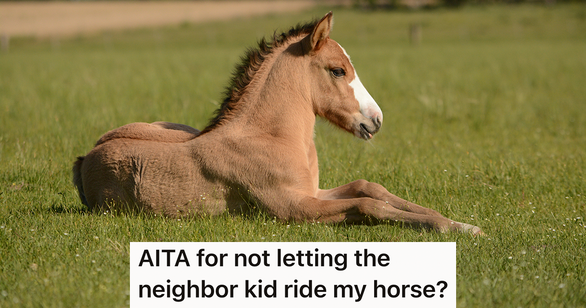 She Let Her Neighbor’s Kid Ride Her Horse, But When She Had To Sell It ...
