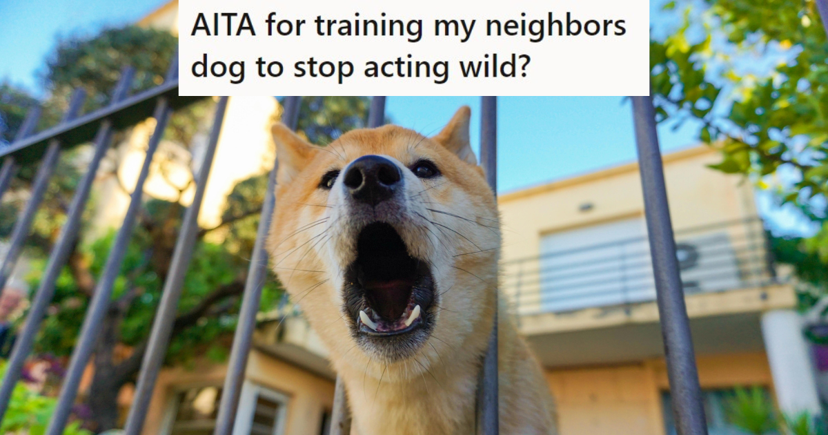 Her Neighbor’s Untrained Dog Wouldn’t Stop Barking So She Trained Him ...