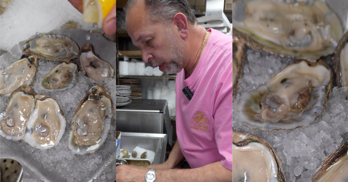 ‘Is it true that when you eat oysters that they’re alive?’ – Seafood ...