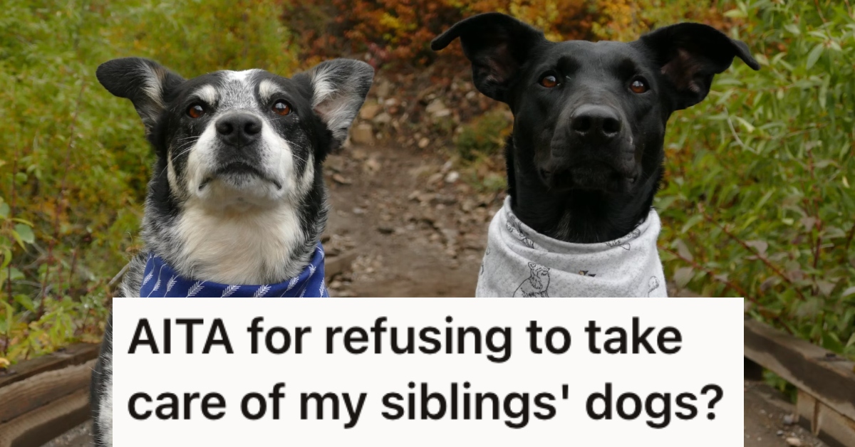 Her Siblings Are Moving Out But They Want To Leave Their Adopted Dogs ...