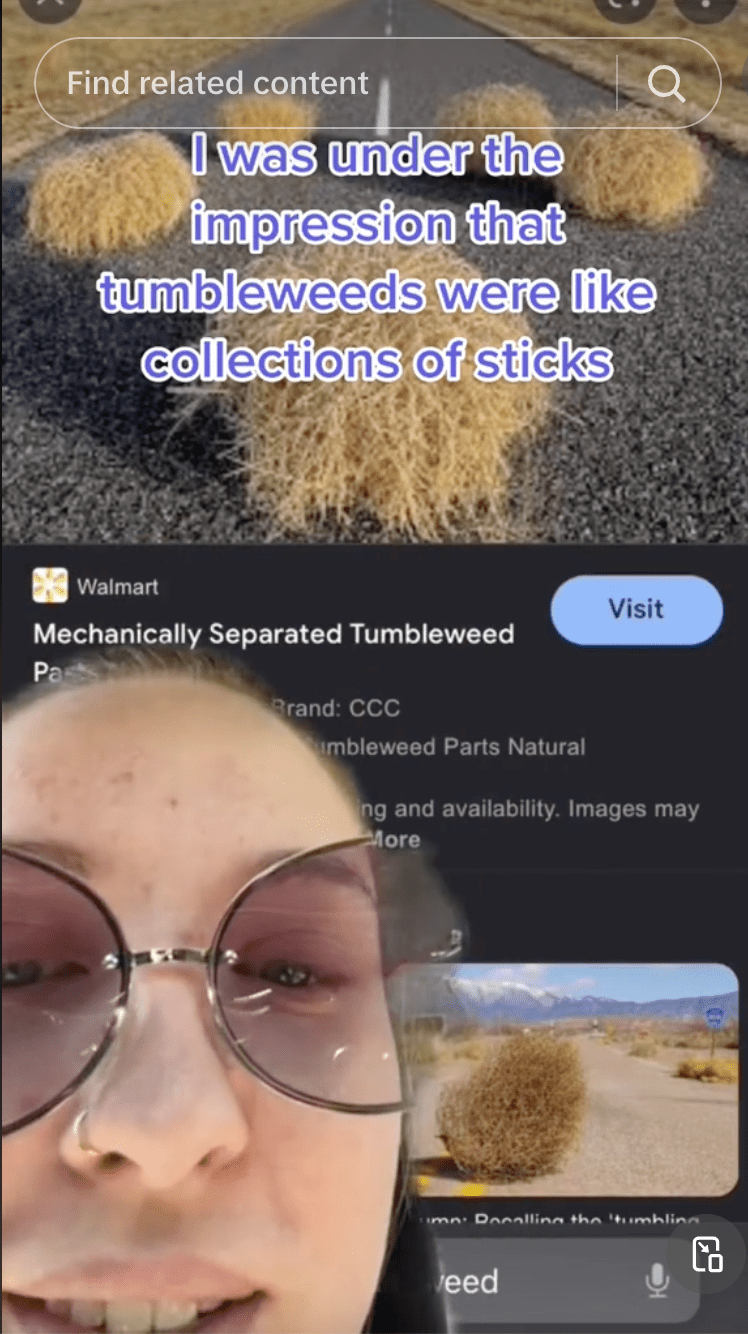 What Actually Are Tumbleweeds And Why Are They Considered An Invasive ...