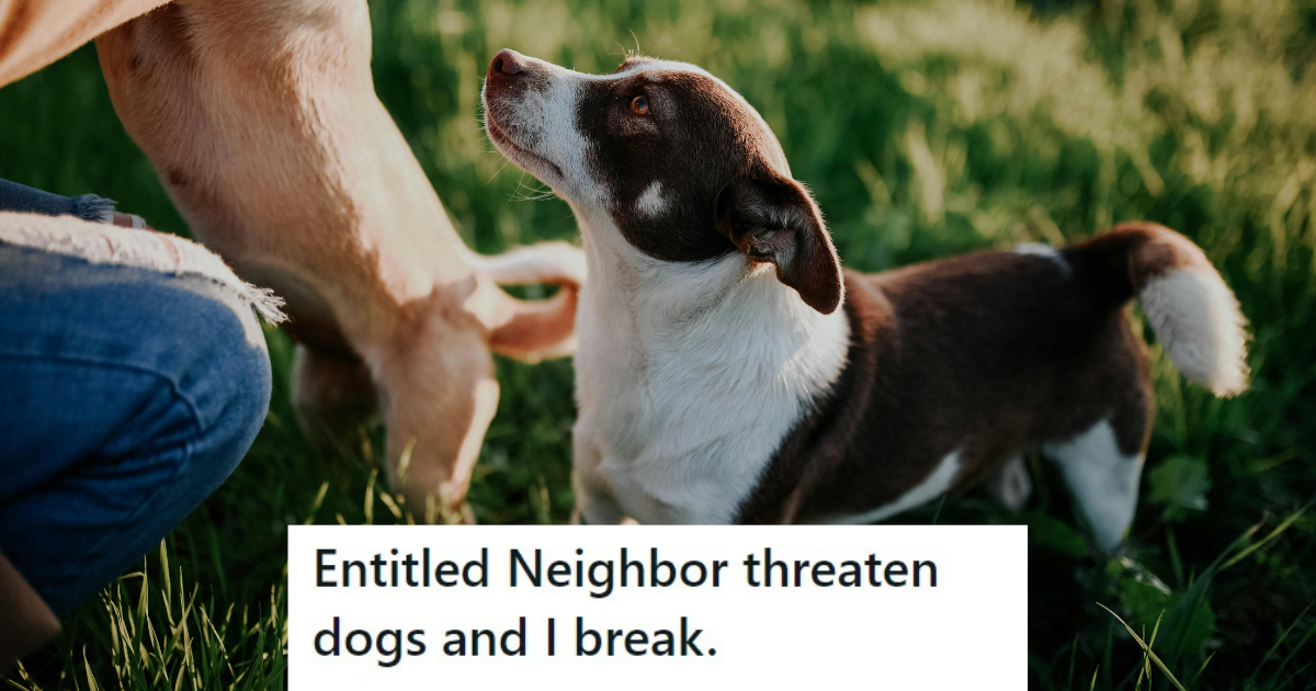 His Neighbor Loathed Pets And Kept Reporting His Dogs, So He Took Legal ...