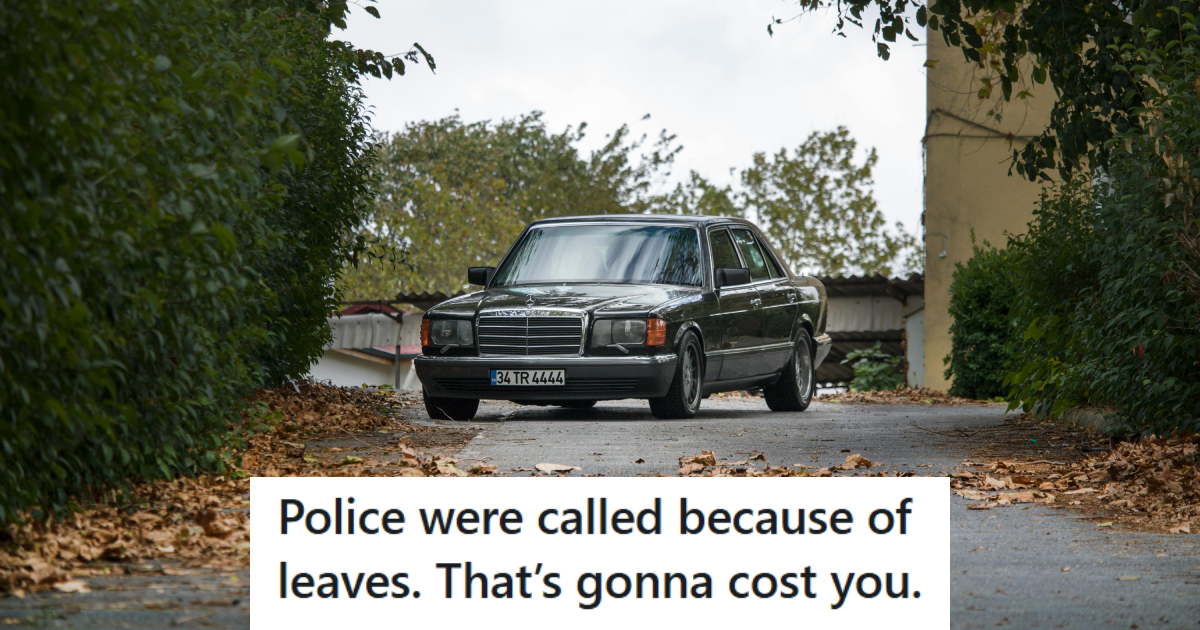 Neighbor Calls Cops Over A Few Leaves Blown Into His Driveway And Ends