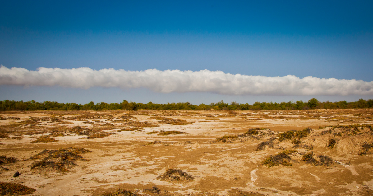 If You've Ever Seen Morning Glory Clouds, You've Probably Wondered How ...