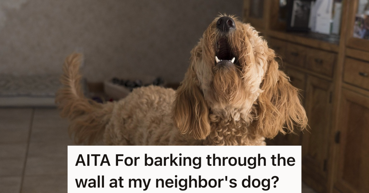 Dog Won’t Stop Barking At Night, So The Next Door Neighbor Starts ...