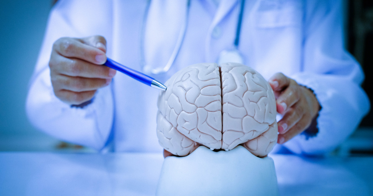 The Biggest Brain Ever Recorded Was More Than 6 Pounds, But It Doesn’t ...