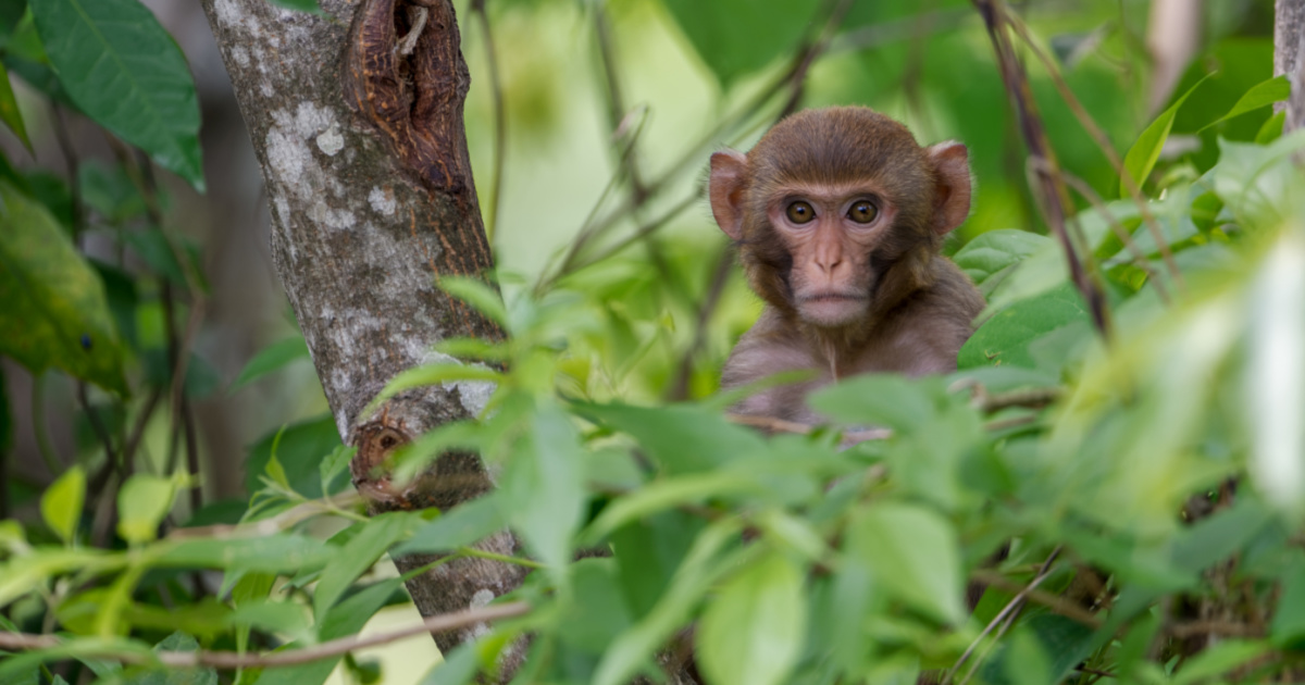 Police In South Carolina Warned Residents To Lock Their Doors Because A ...