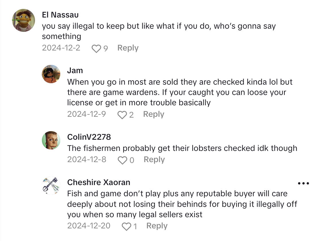 Viral Fisherman Shows Us Why He Gives Lobsters The "Punch And Lunch ...