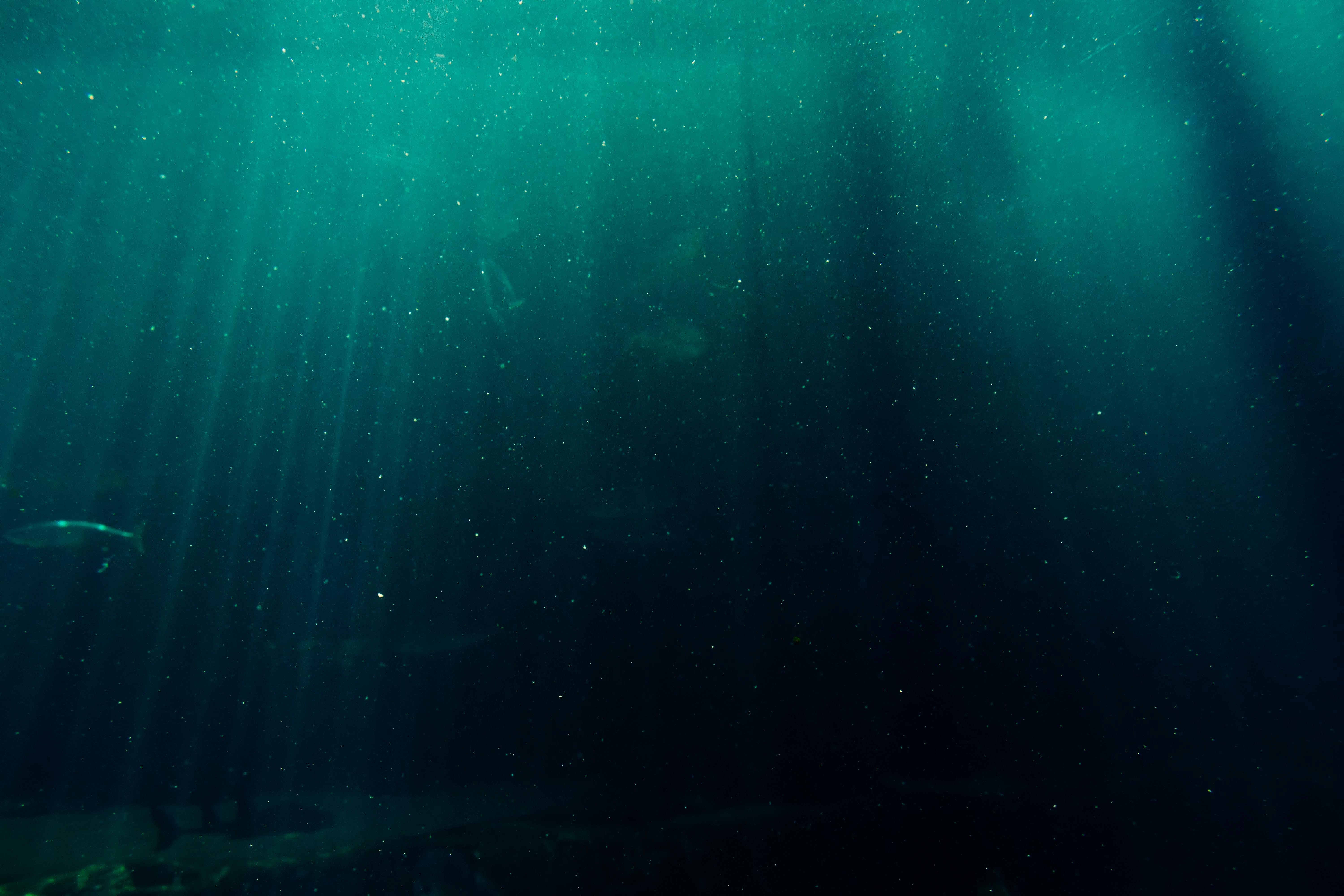 Scientists Exploring Deep Sea Volcanoes Discover Life That Exists ...