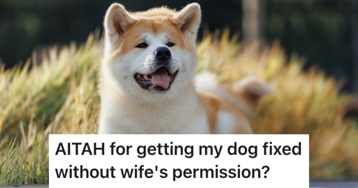 His Wife Wanted To Breed Their Dog Which He Thought Was A Bad Idea, So ...