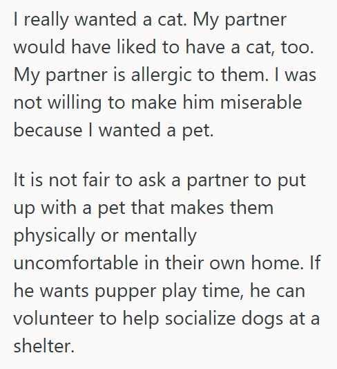 Her Fiancé Wants To Adopt A Bulldog, But She Has A Long List Of Reasons Why She Doesn’t Want To ...