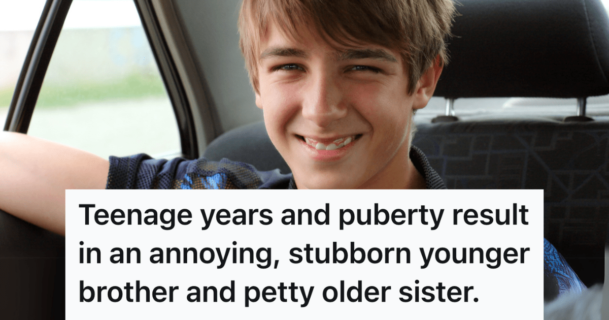 Stubborn Brother Stole The Front Seat To Annoy Their Sibling, So The ...