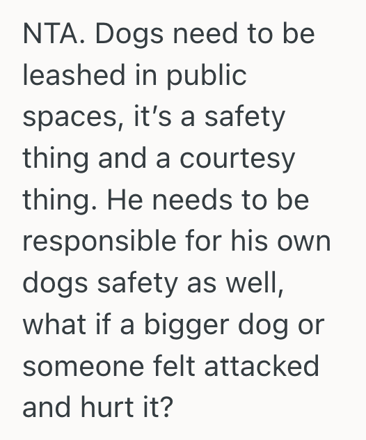 They Spoke Up About A Simple Leash Law, But The Rude Dog Owner Lashed ...