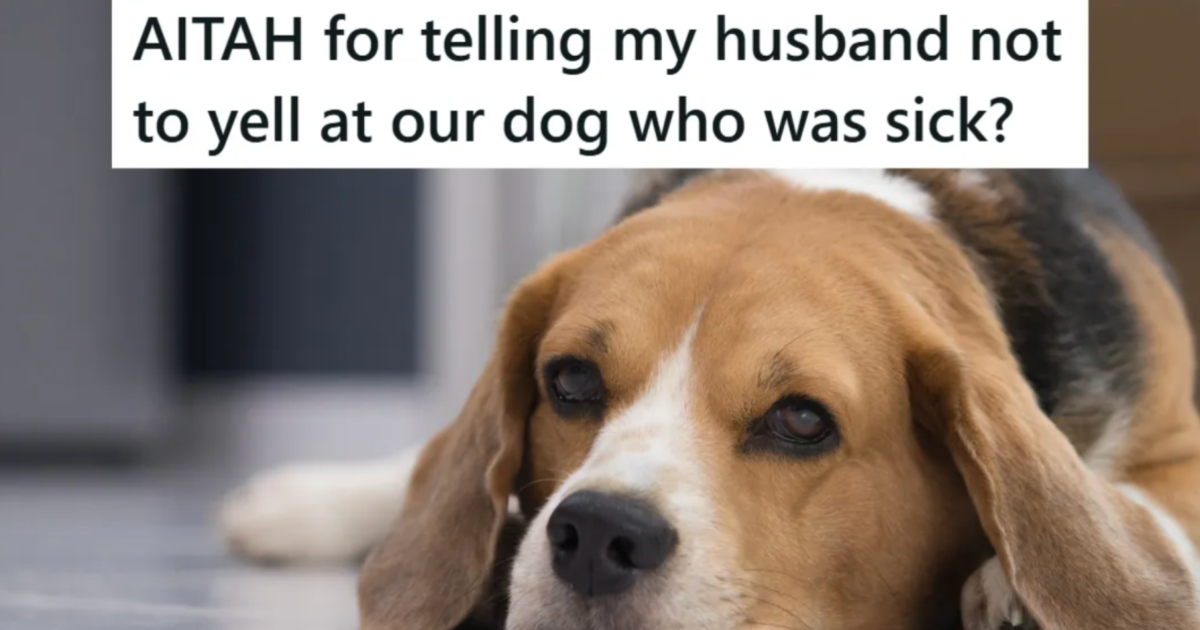 Husband Yelled At The Family Dog When It Stressed Him Out, And Now ...