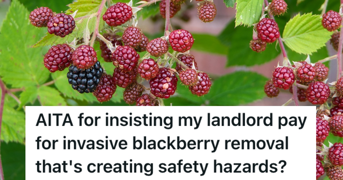 Tenant Is Responsible For Yard Maintenance, But Thinks Removing Prickly ...