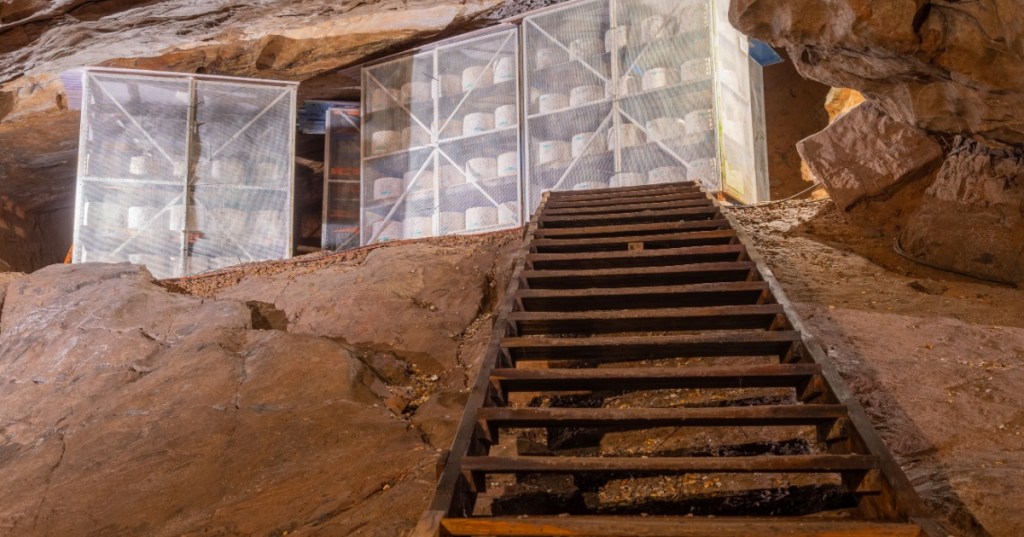 Tag: overstaffed » TwistedSifter