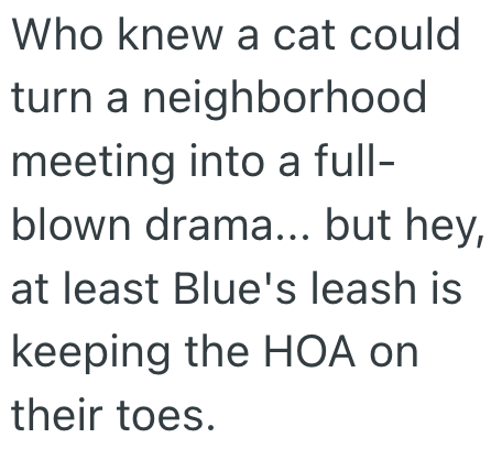 Stray Cat Finds A New Home With A Couple And Their Dogs, But Even ...