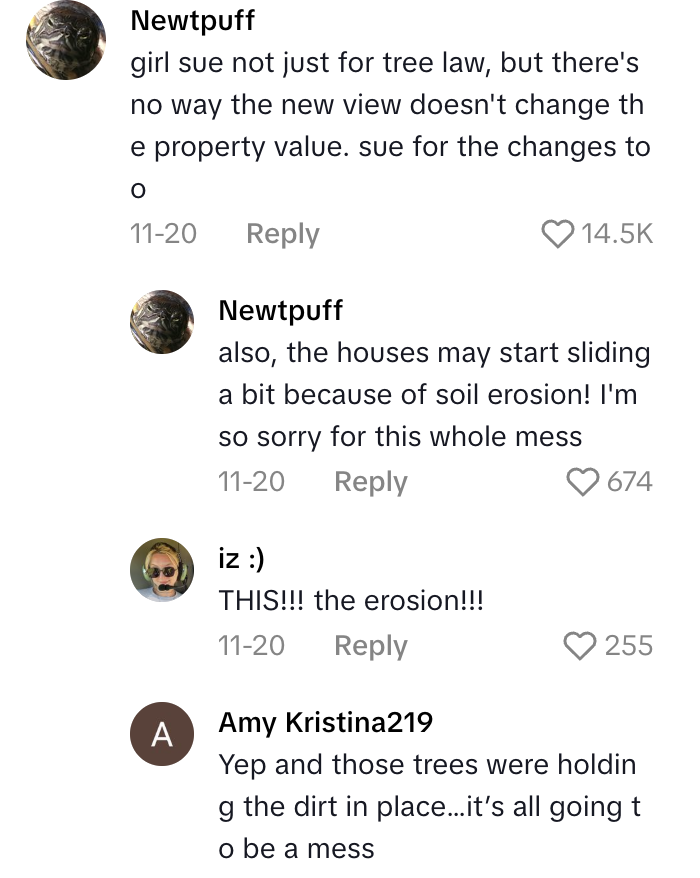 ‘They’ve removed all the stumps. I can tell you it is over 100.’ – A ...