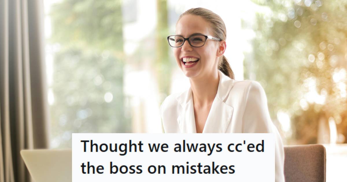 A Petty Coworker Included The Boss On Every Email About Small Mistakes ...