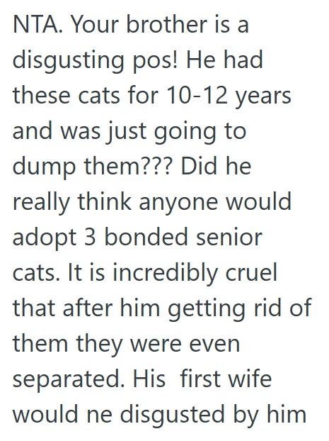 Her Brother's Fiancé Needed Him To Rehome His Cats Before She Moved In ...