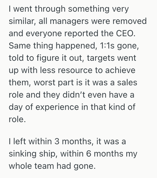 Engineer Witnessed Their Manager Being Fired Due To Restructuring, But ...
