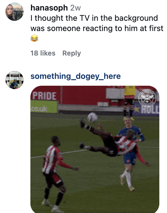 An Owner Threw Her Dog A Ball And Its Reaction Shows Olympic-Worthy ...