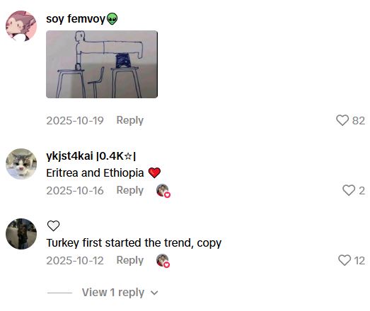 TikTok Trend Tutorial: How To Do The Popular "Bird Trend" Where One ...