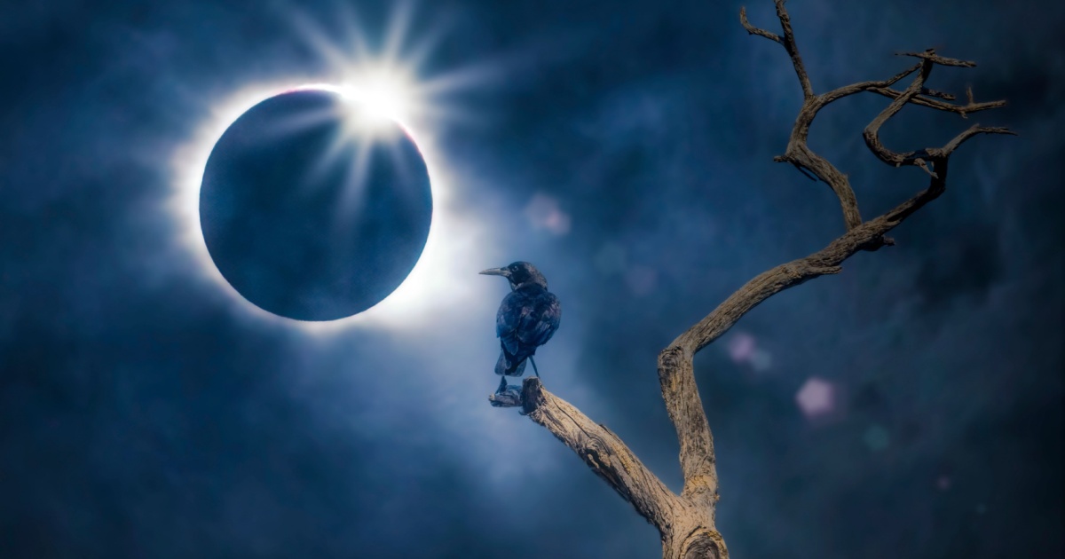 Extraordinary Claim That Trees May Be Able To Sense A Solar Eclipse Has ...