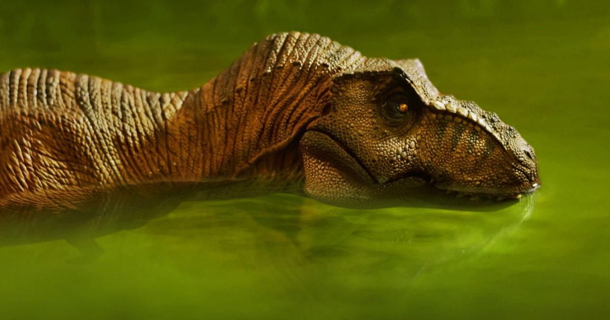 Could A T-Rex Really Swim Through The Water? Evidence Suggests That It ...