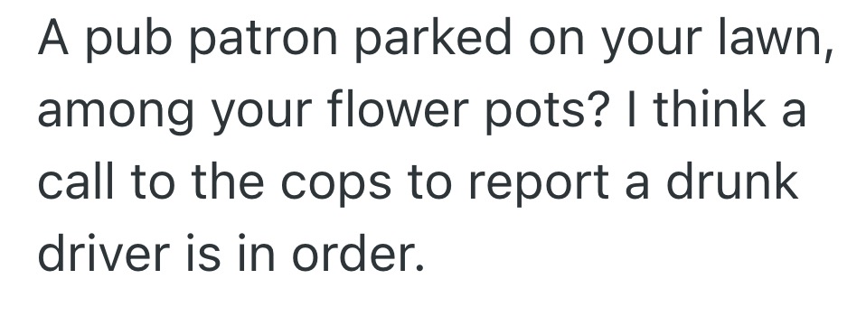 Woman Discovers Bar Patron Parked On Her Lawn, So When No One Would ...