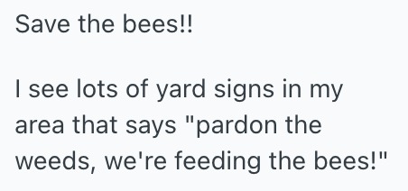 His Neighbors Were Snobby About His Eco-Friendly Lawn Care, so He ...