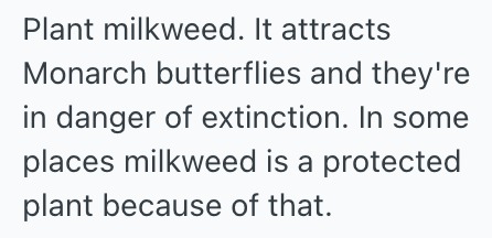 His Neighbors Were Snobby About His Eco-Friendly Lawn Care, so He ...