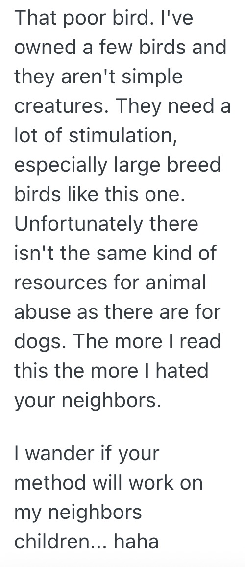 Her Neighbor's Birds Wouldn't Stop Screaming. Her Unhinged Solution ...