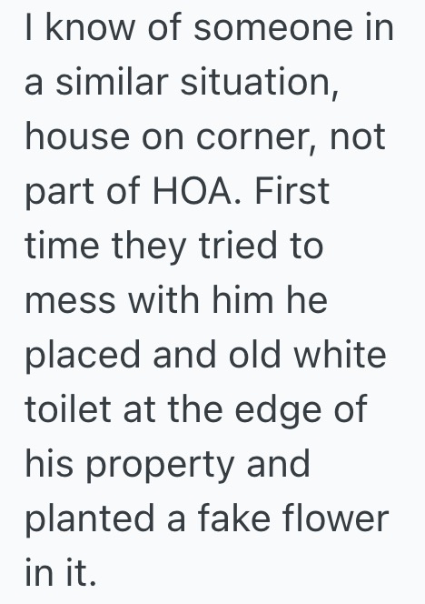 Family Living Outside HOA Refuses to Remove Tree and Lights Despite ...